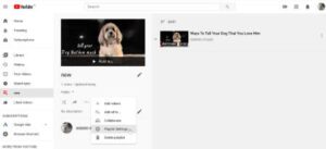 How to Reverse a Youtube Playlist | Reverse Youtube Playlist