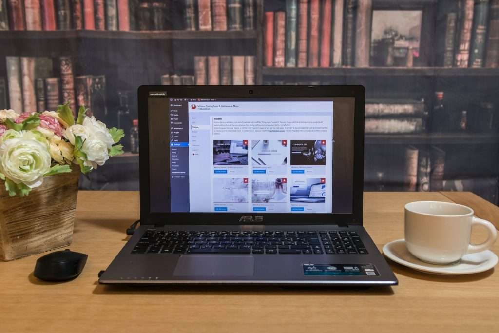 Top Themes and Plugins to Use on a Brand New WordPress Website