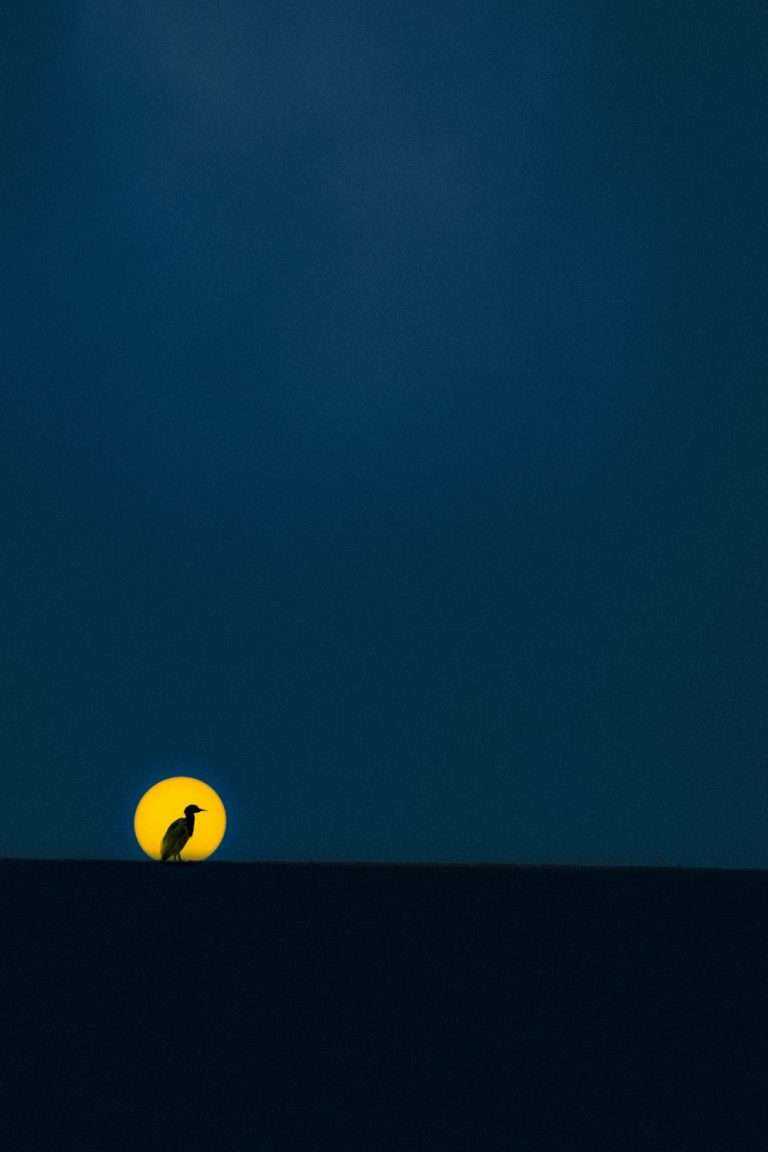 How to Fix “You need a media feature pack” Error?