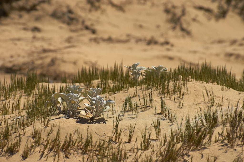 WoW macros: getting started