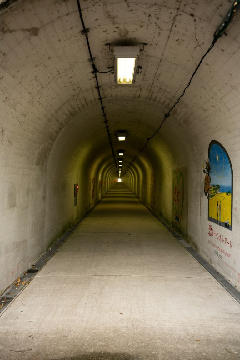 3 Best Ngrok Alternatives for Tunneling (Free & Paid)